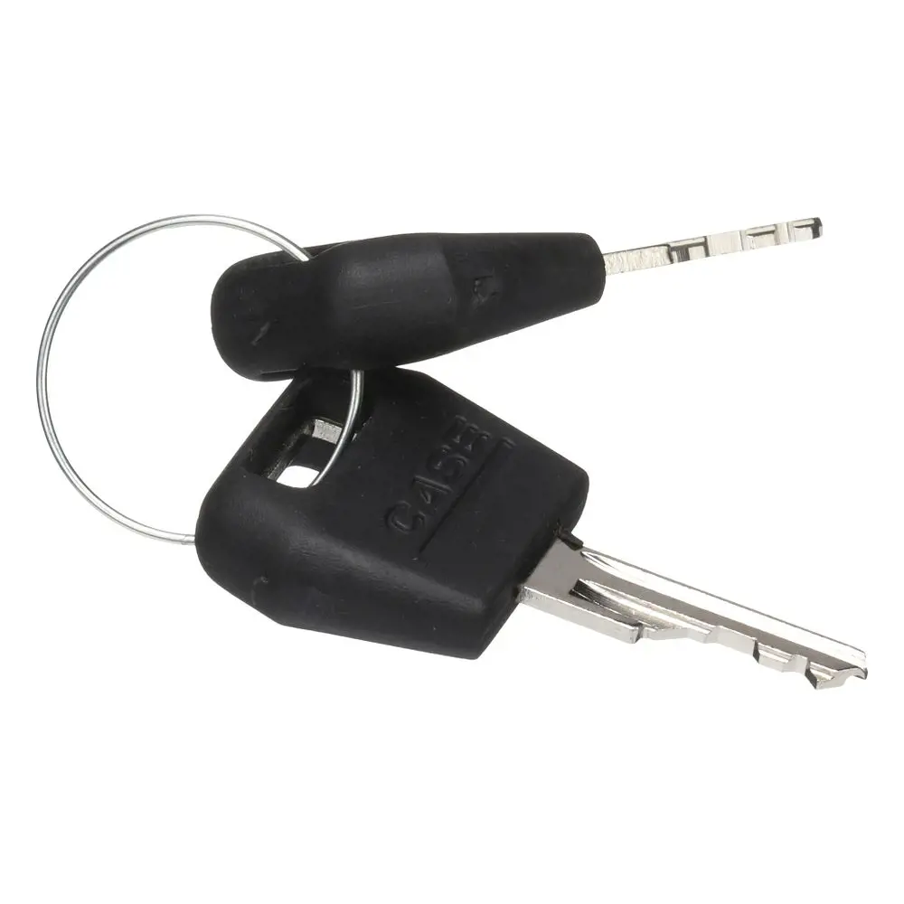 New Holland #1964831C2 SET OF 2 KEYS