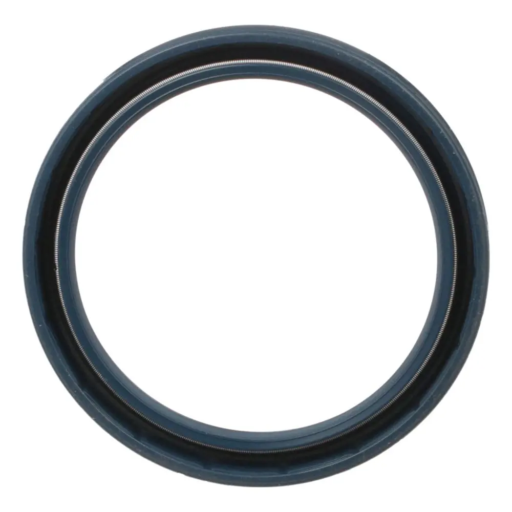 New Holland #181123A1 SEAL, OIL